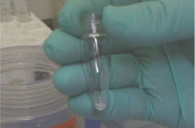 Permethylation of Glycans - Ludger - Principles