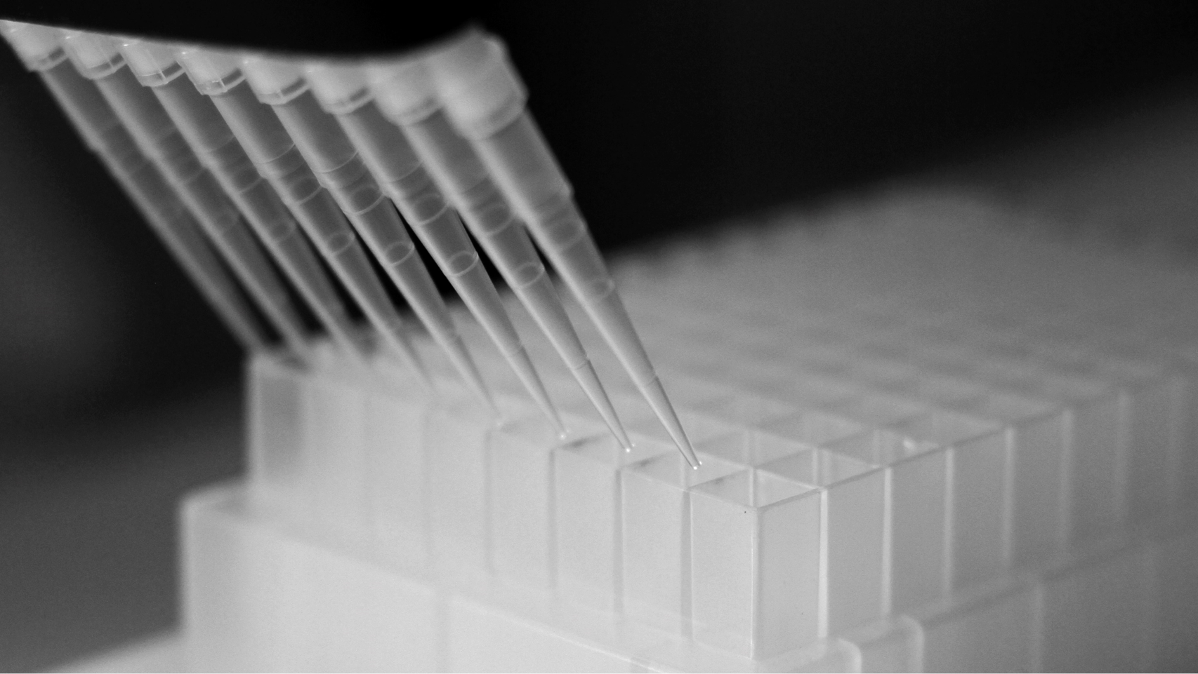 ludger-ec50-clean-up-plate