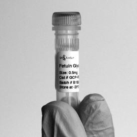 Glycoprotein & glycopeptide standards